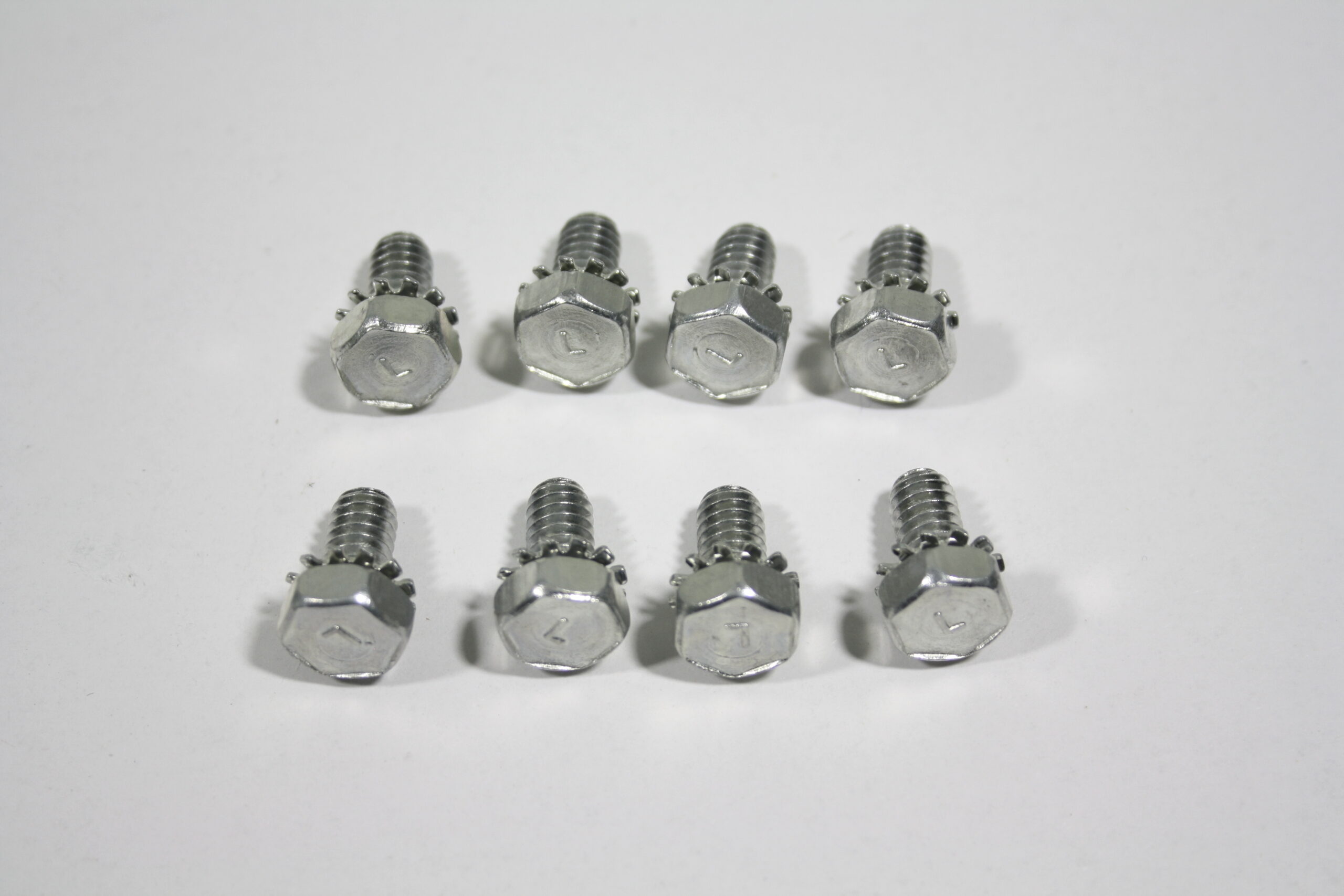 Spark Plug Shield Bolt Kit - Big Block (170892) – Keen Parts